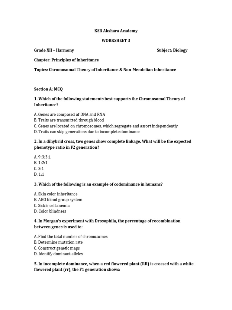 Worksheet 3 Grade XII | PDF