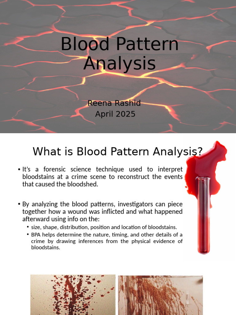 Blood Pattern Analysia - FRS 653 - April 2025 - REENA | PDF ...