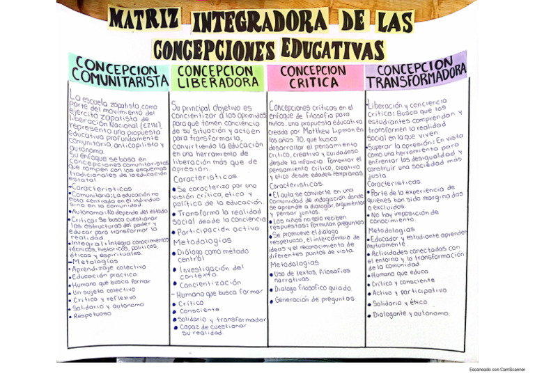 Matriz Integradora | PDF