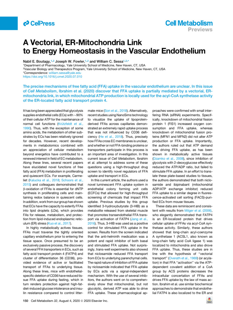 A Vectorial, ER-Mitochondria Link PDF | PDF | Interleukin 6 | Mitochondrion