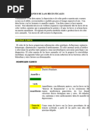 Tipos y características de las heces | PDF | Heces | Especialidades Medicas