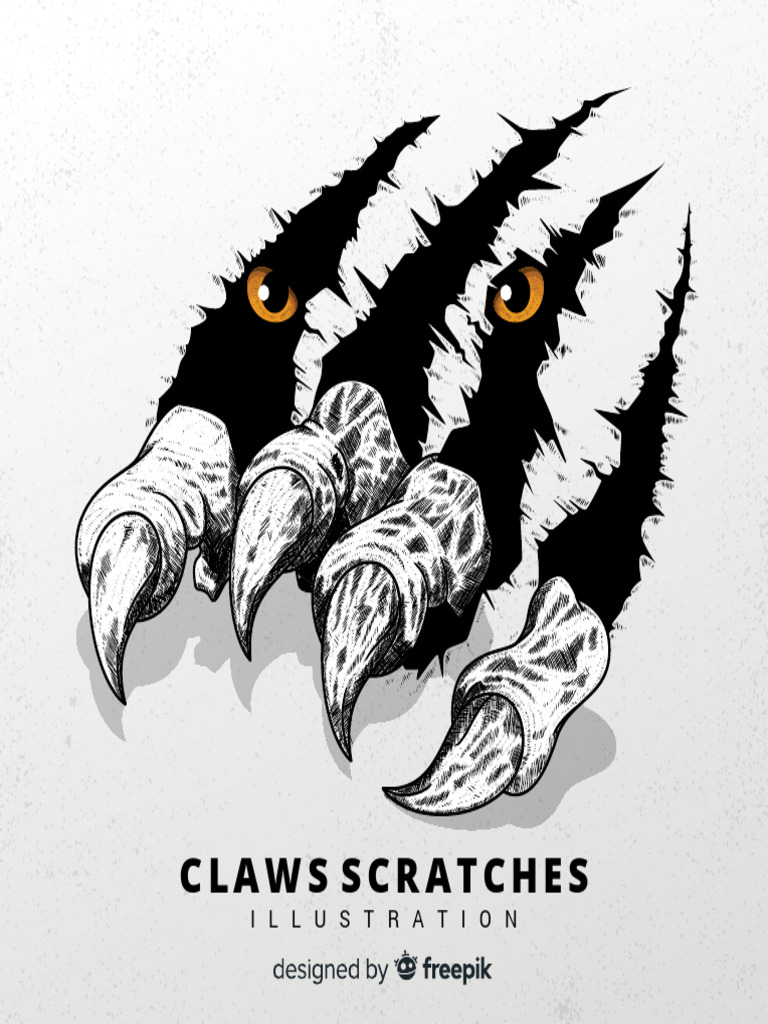 Claws Scratches: Illustration | PDF