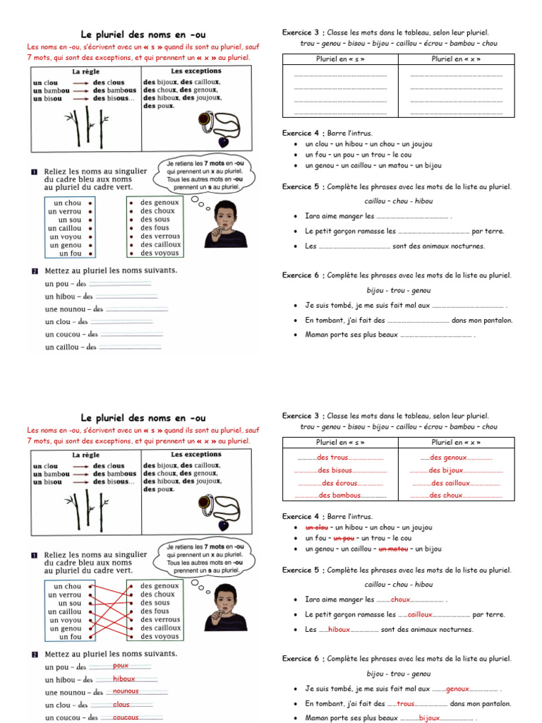 Pluriel des noms en -ou : Exercices | PDF