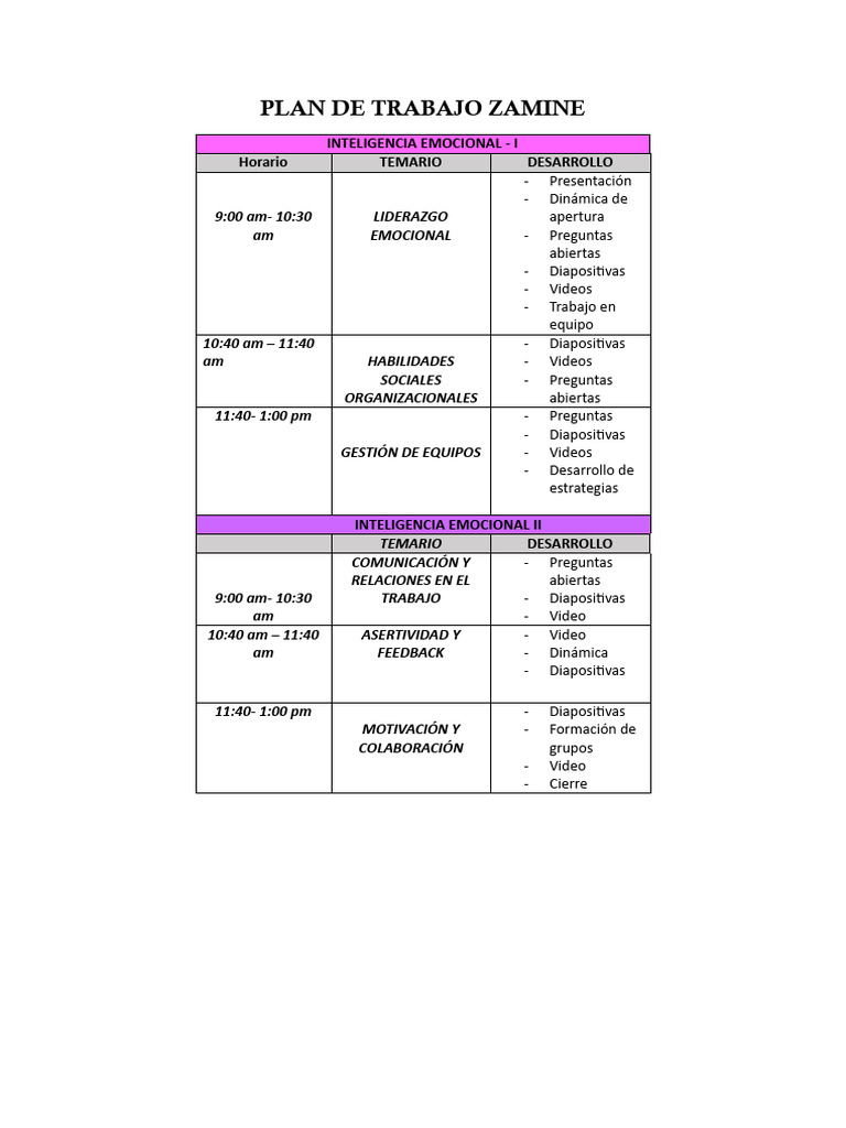 Plan de Trabajo Zamine | PDF
