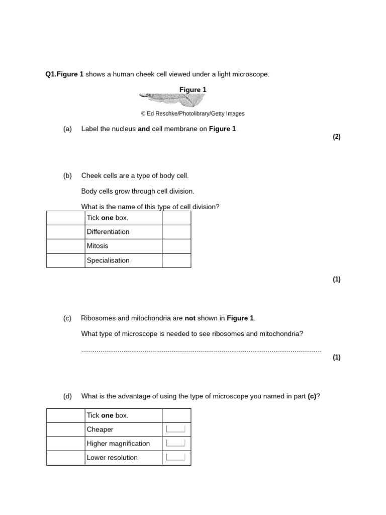 Human Cell Structure and Function Quiz | PDF | Osmosis | Cell (Biology)