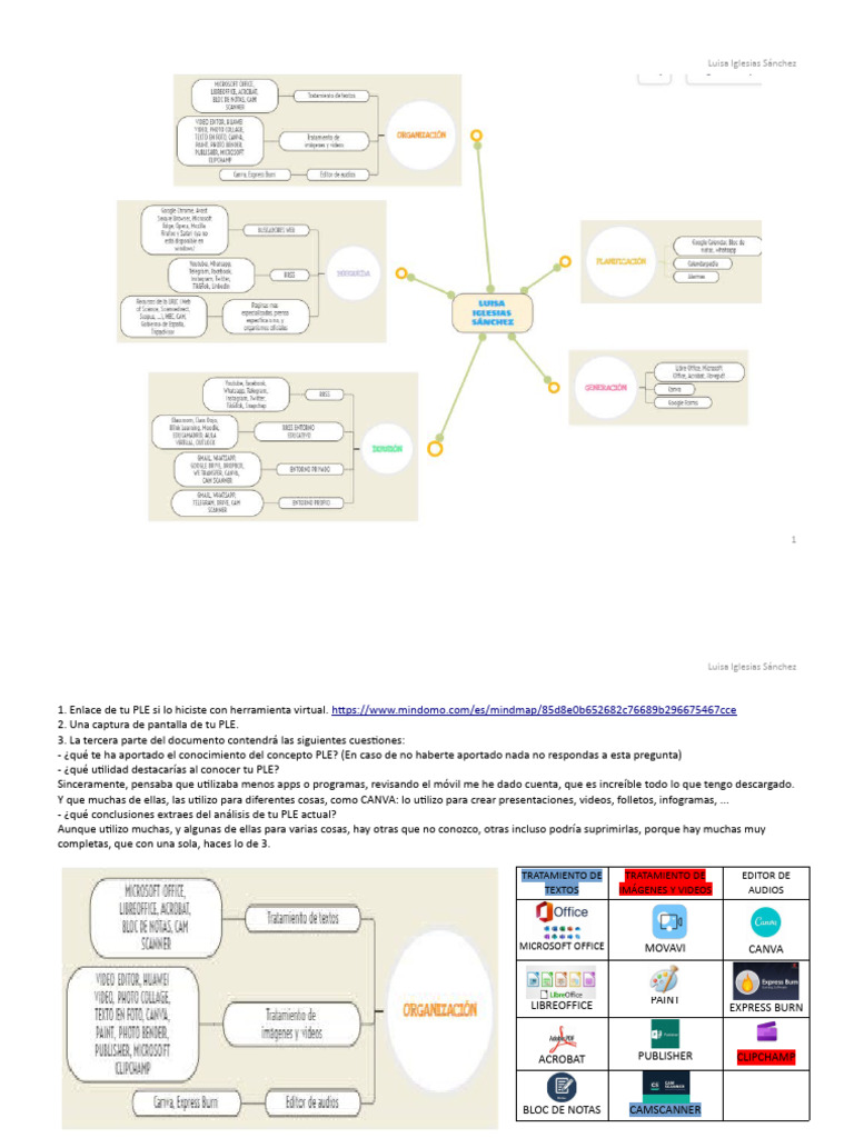 Ple | PDF | Software | Software de la aplicacion