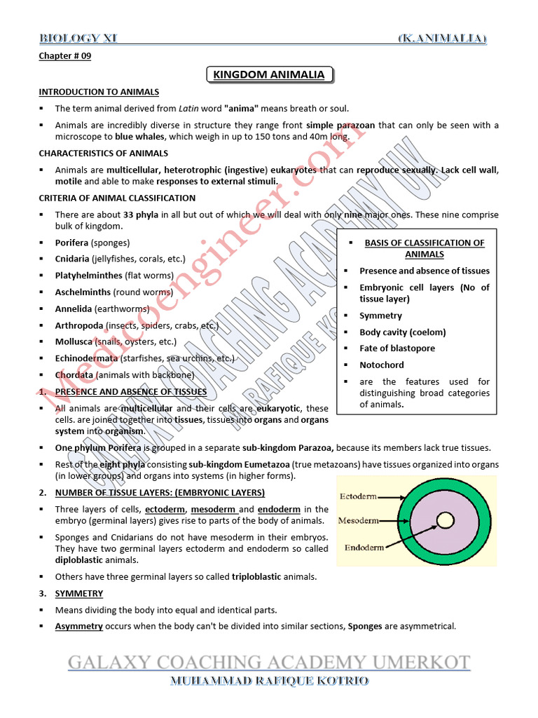 Kingdom Animalia Keypoints | PDF | Sponge | Mollusca