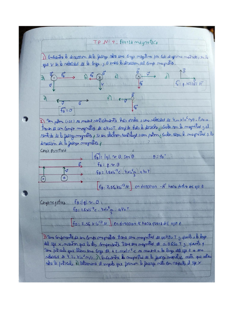 tp9 Fuerza Magnética | PDF
