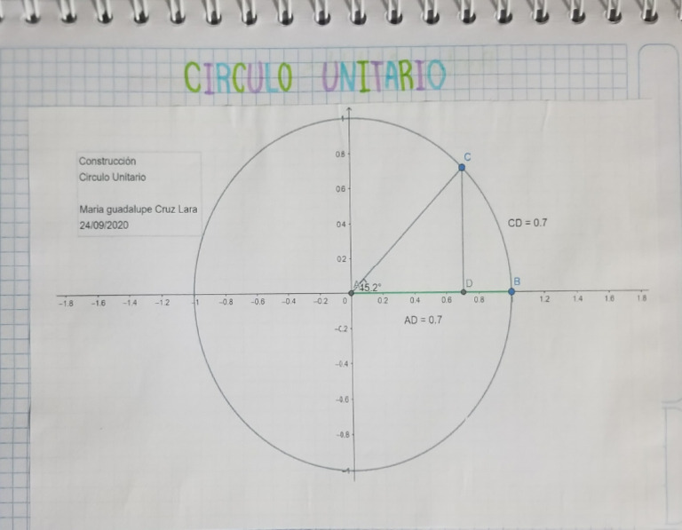 Actividad 7 Círculo Unitario | PDF