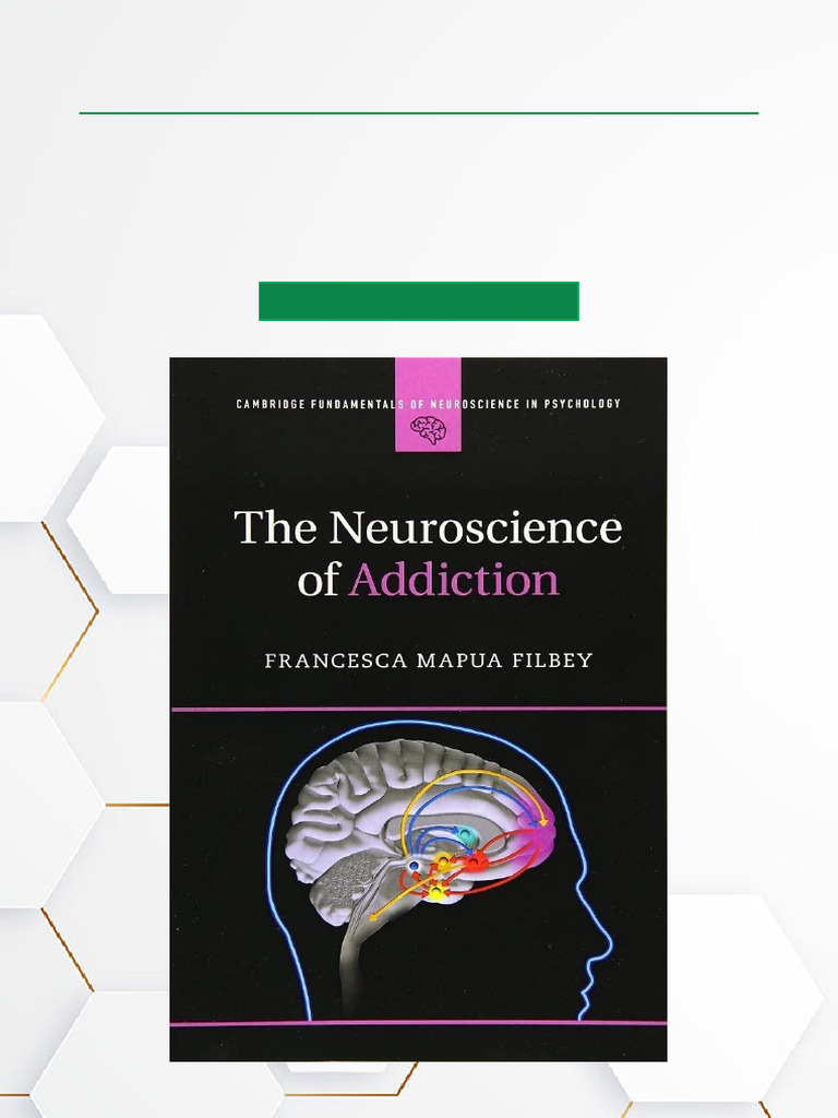 Neuroscience Insights on Addiction | PDF | Reward System | Impulsivity