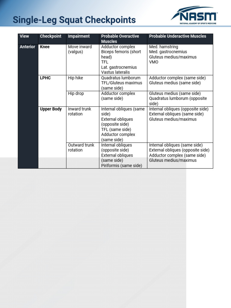 NASM PES Handout Single Leg Squat Checkpoints | PDF