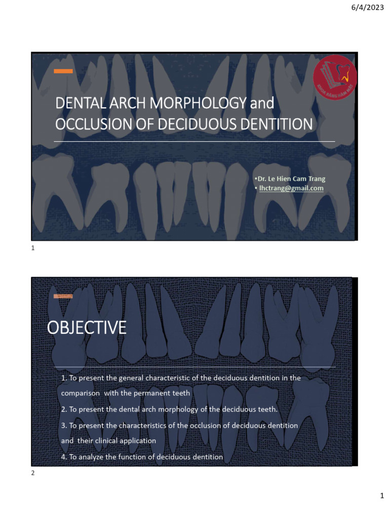 Occlusion of Deciduous Dentition | PDF | Tooth | Dentistry Branches