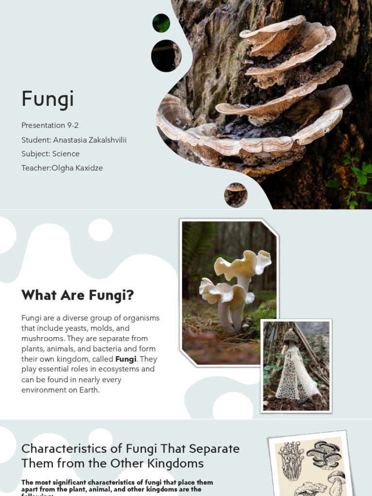 Fungi 9 2zakalshvili - Science | PDF | Fungus | Mold