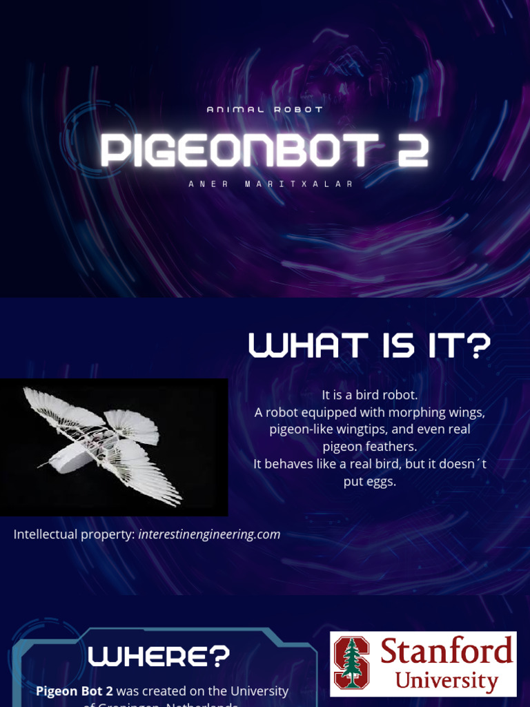 Pigeonbot 2 | PDF