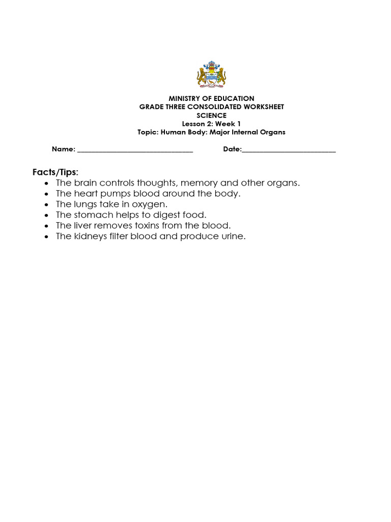 Grade 3 Science Week 1 Lesson 2 - 2022 - Consolidated Worksheet | PDF