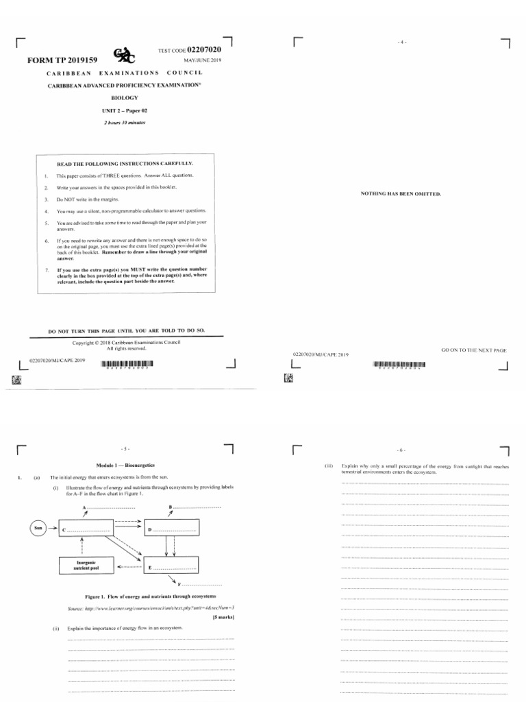 CAPE Unit 2 BIO P2 2019 | PDF