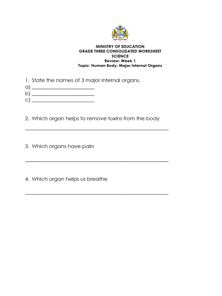 Grade 3 Science Week 1 Review - 2022 - Consolidated Worksheet | PDF