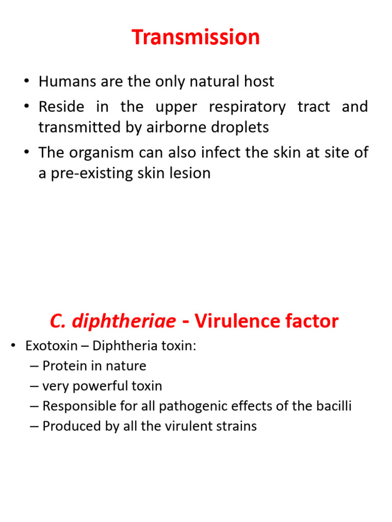 Bacteriology Notes 101 150 | PDF | Medical Specialties | Microbiology
