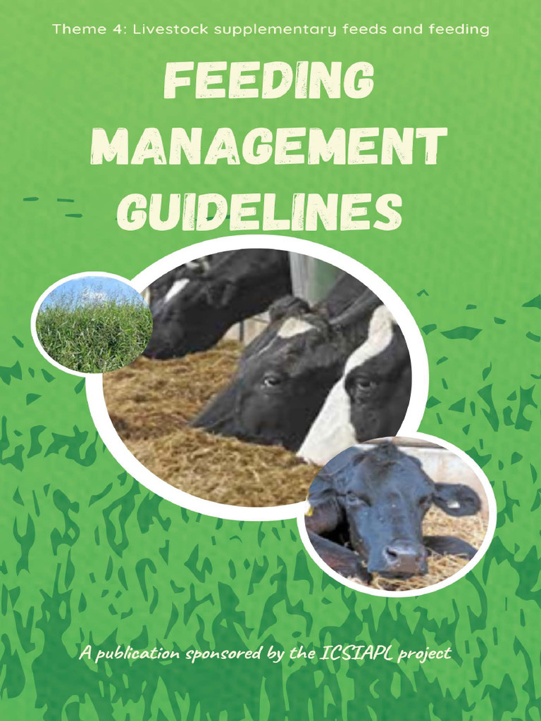 Feeding Management Guidelines ICSIAPL | PDF | Cattle | Dairy Cattle