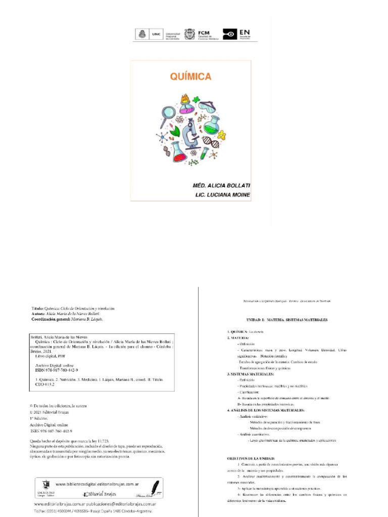 Introduccion A La Quimica | PDF