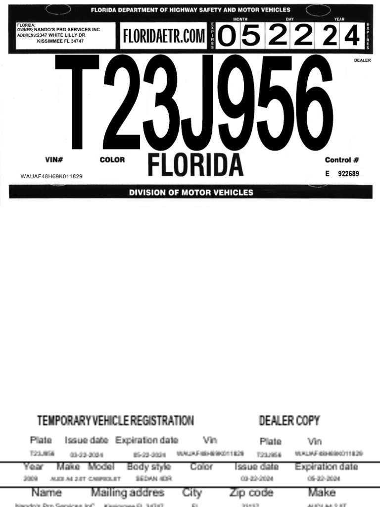 Florida Vehicle Registration Details | PDF