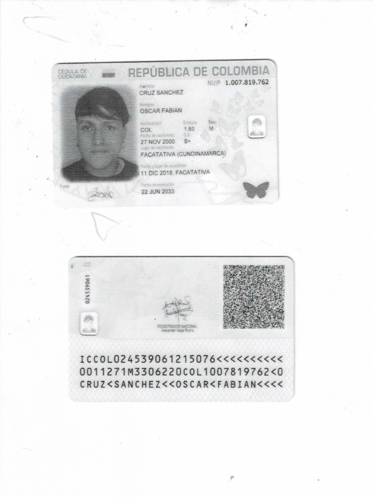 Tec No Logo Fabian Cruz | PDF