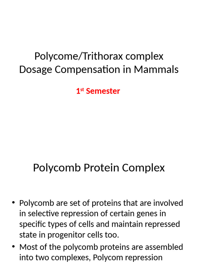 Polycomb and Trithorax Complexes in XCI | PDF | Histone | Chromatin