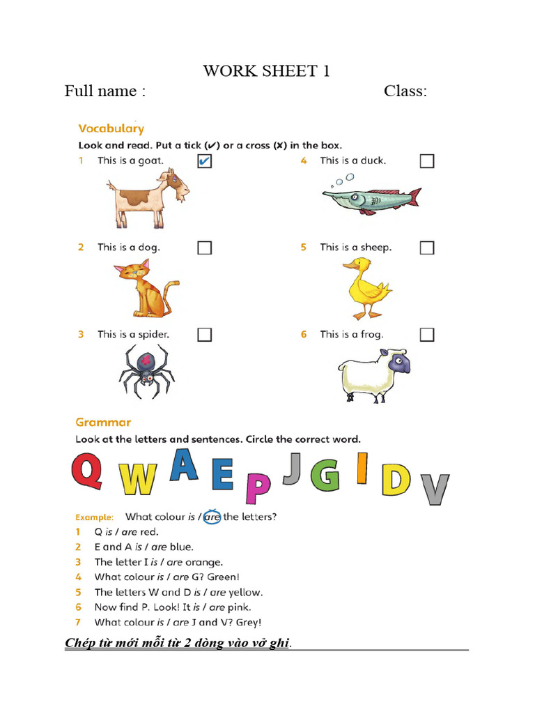 Worksheet 1 | PDF