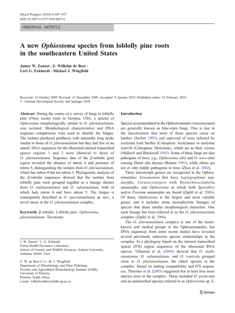A New Ophiostoma Species From Loblolly Pine Roots in The Southeastern ...