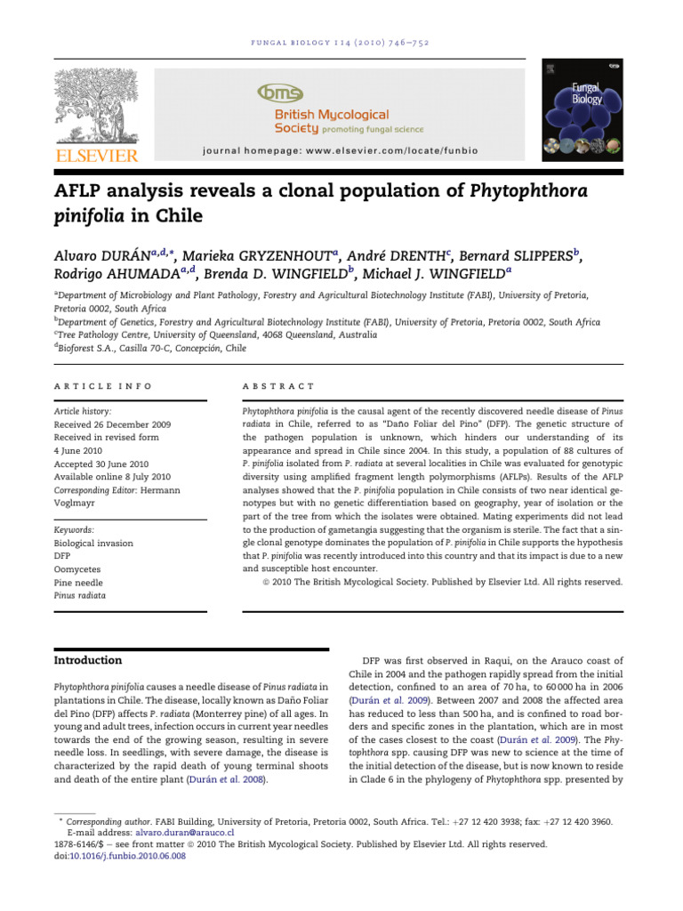 AFLP Analysis Reveals A Clonal Population of Phytophthora Pinifolia in Chile | PDF | Polymerase ...
