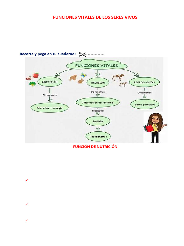 Funciones Vitales de Los Seres Vivos 01 | PDF | Nutrición | Dieta y ...