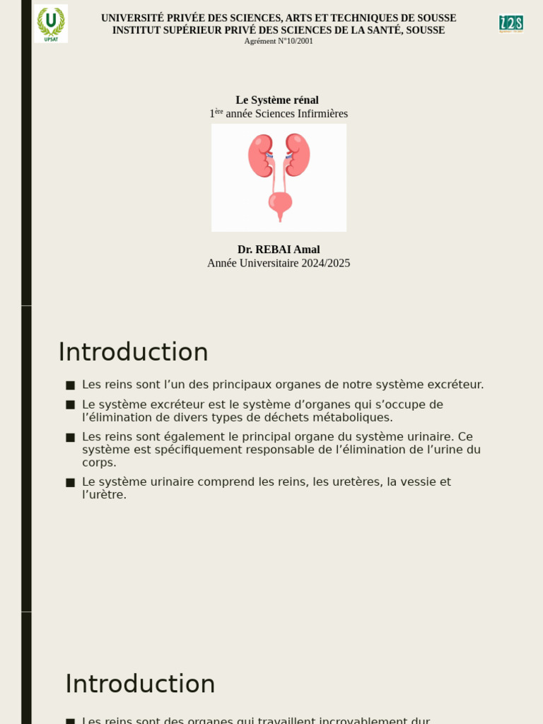 Fonctionnement du Système Rénal | PDF | Rein | Appareil urinaire