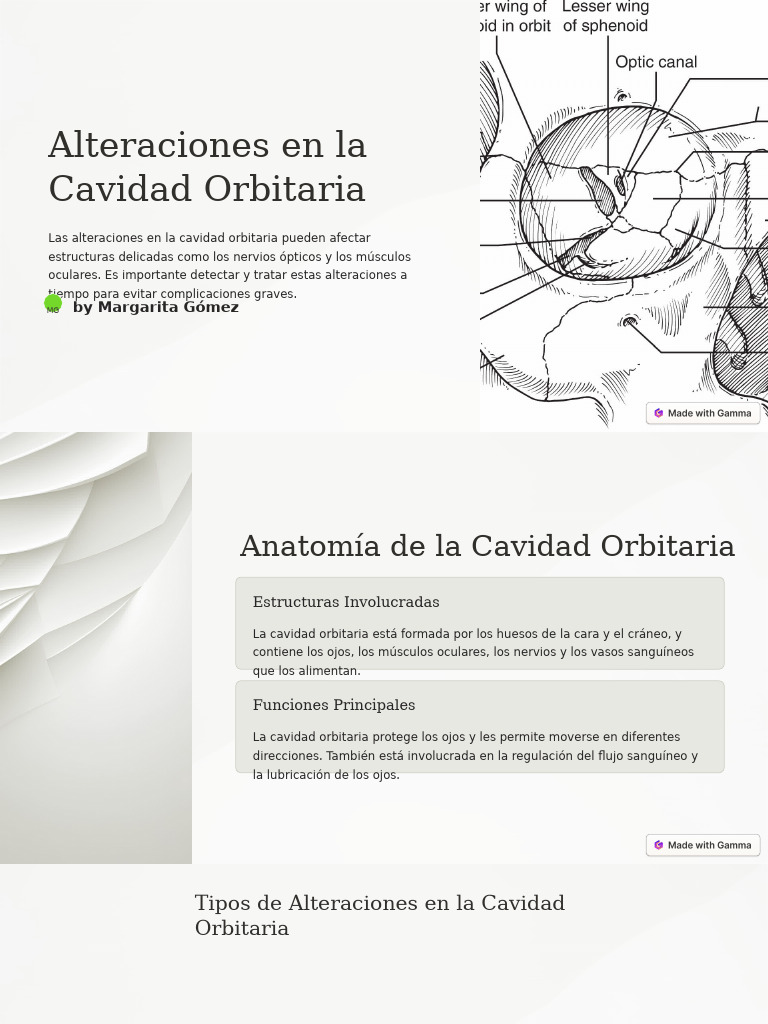 Alt Cavidad Orbitaria | PDF | Neoplasias | Ojo