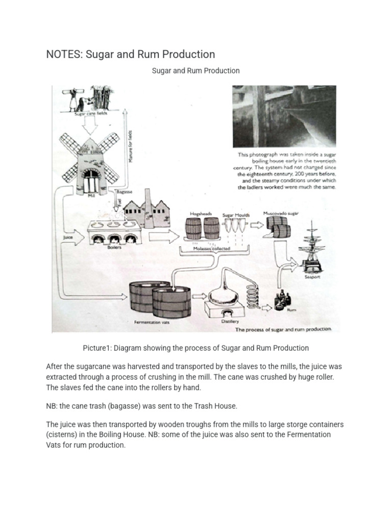 NOTES - Sugar and Rum Production | PDF
