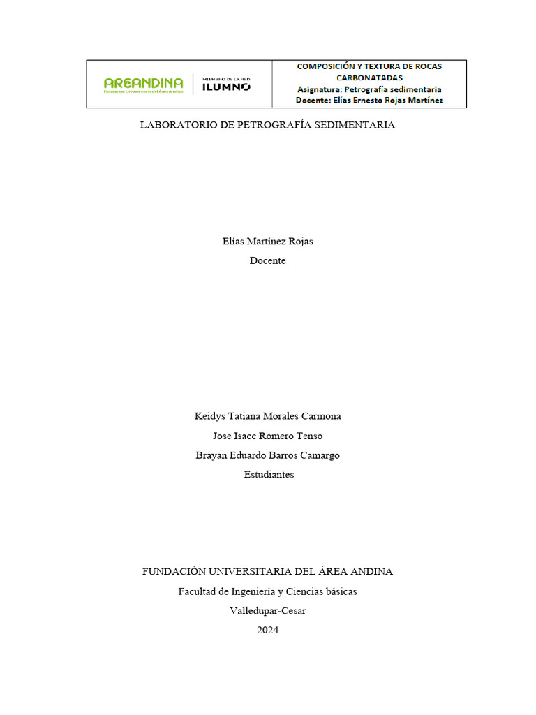 Laboratorio 2 de Rocas Carbonatadas | PDF | Roca (geología)