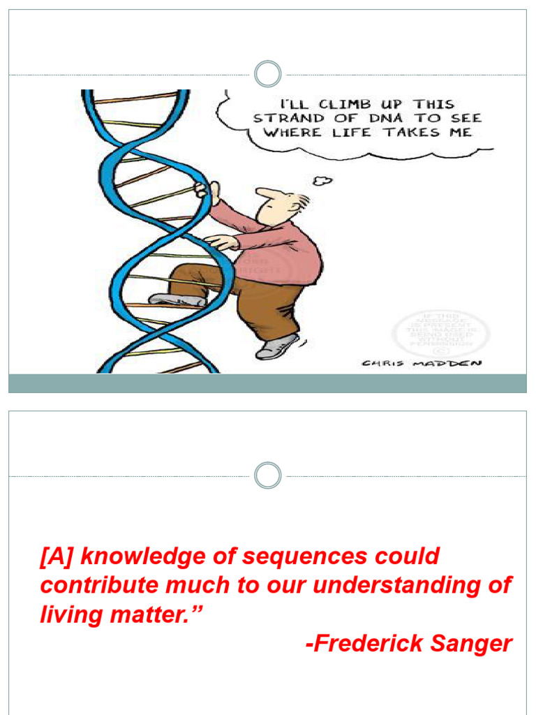 Sanger vs. NGS: Sequencing Techniques Explained | PDF | Dna Sequencing ...