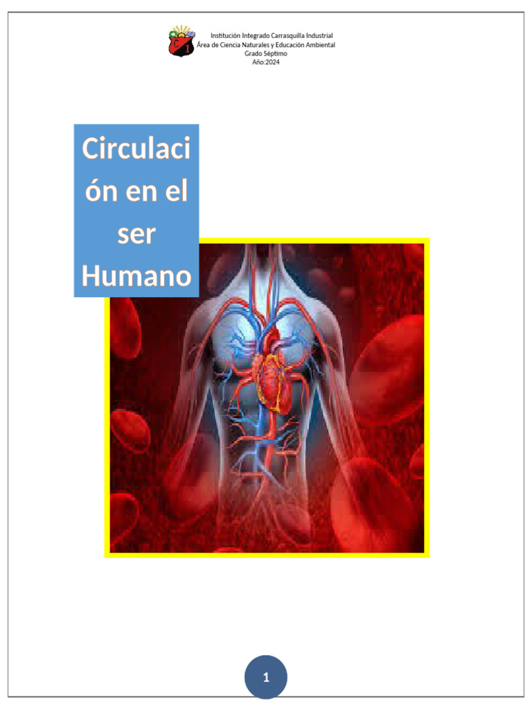 Guia La Circulacion en El Ser Humano | PDF | Corazón | Sistema circulatorio