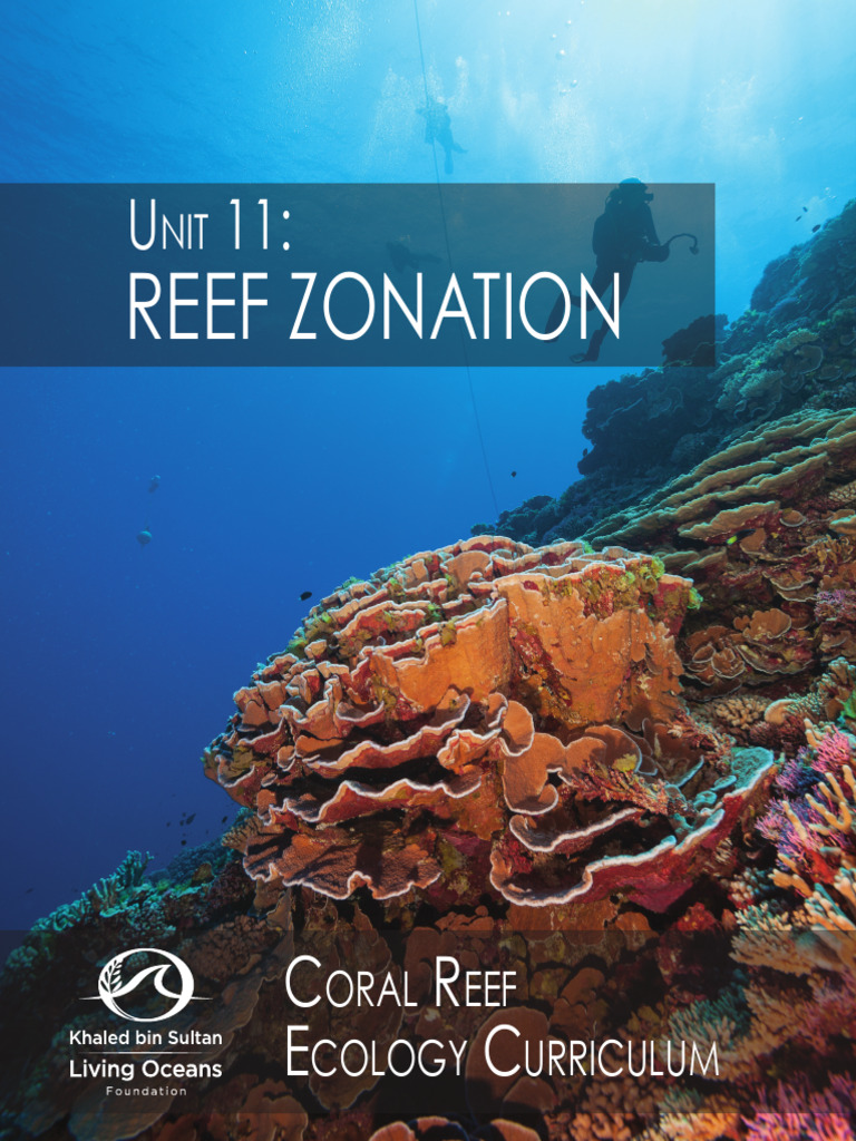 U11 Reef Zonation Background | PDF | Coral Reef | Reef