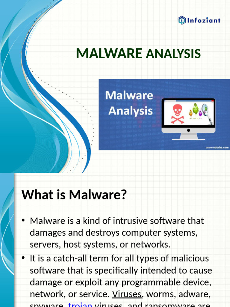 Malware Analysis | PDF