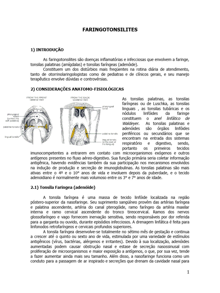 Faringoamigdalites e Adenoamigdalectomia 2007 | PDF | Sistema linfático ...