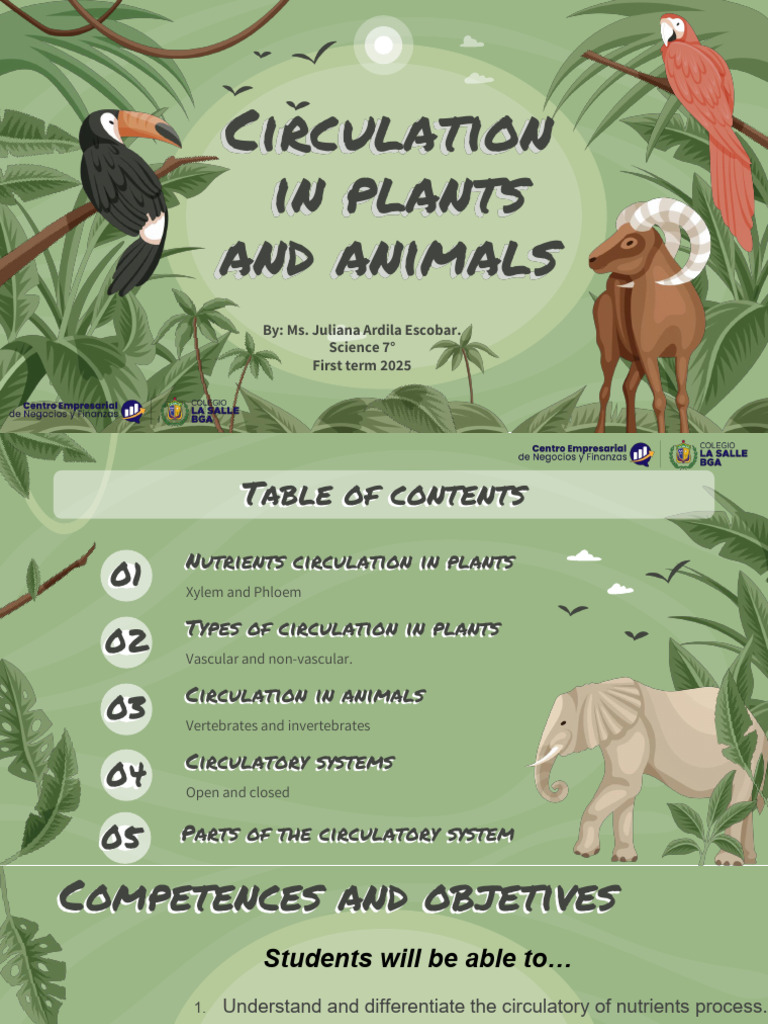 Circulation in Animals and Plants | PDF | Circulatory System | Blood