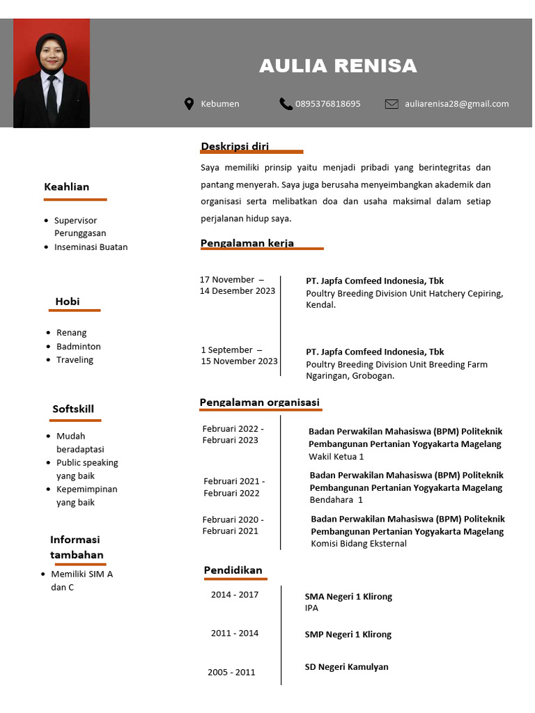 CV Aulia Renisa | PDF