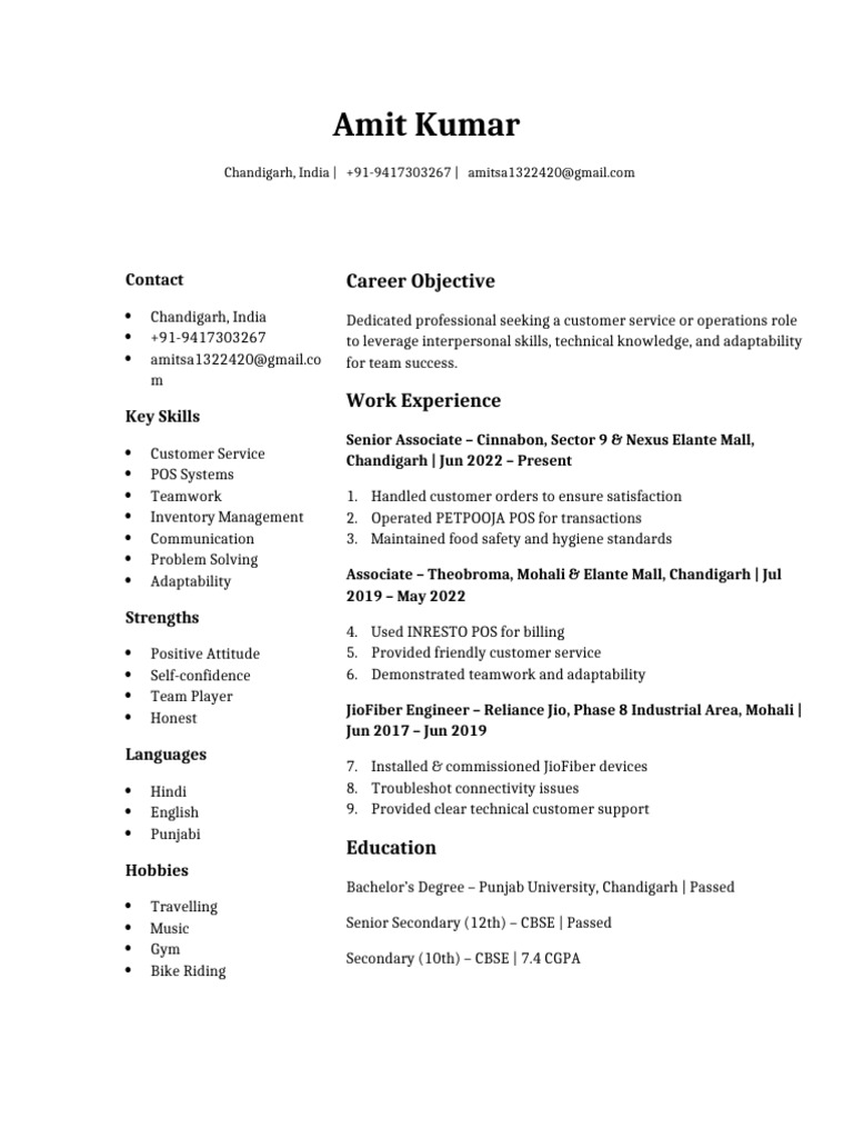 Amit Modern CV | PDF