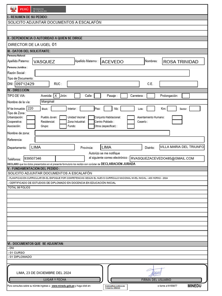 Solicito Adjuntar Documentos A Escalafon | PDF | Educación de la primera infancia | Plan de estudios