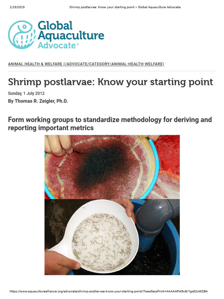Shrimp Postlarvae Know Your Starting Point | PDF | Maize | Aquaculture