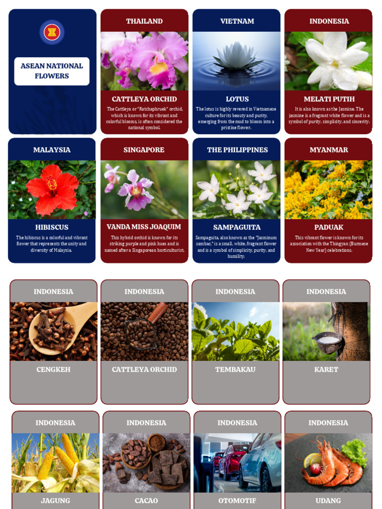 ASEAN National Flower Flashcards in Red Blue Bold Style | PDF | Plants ...