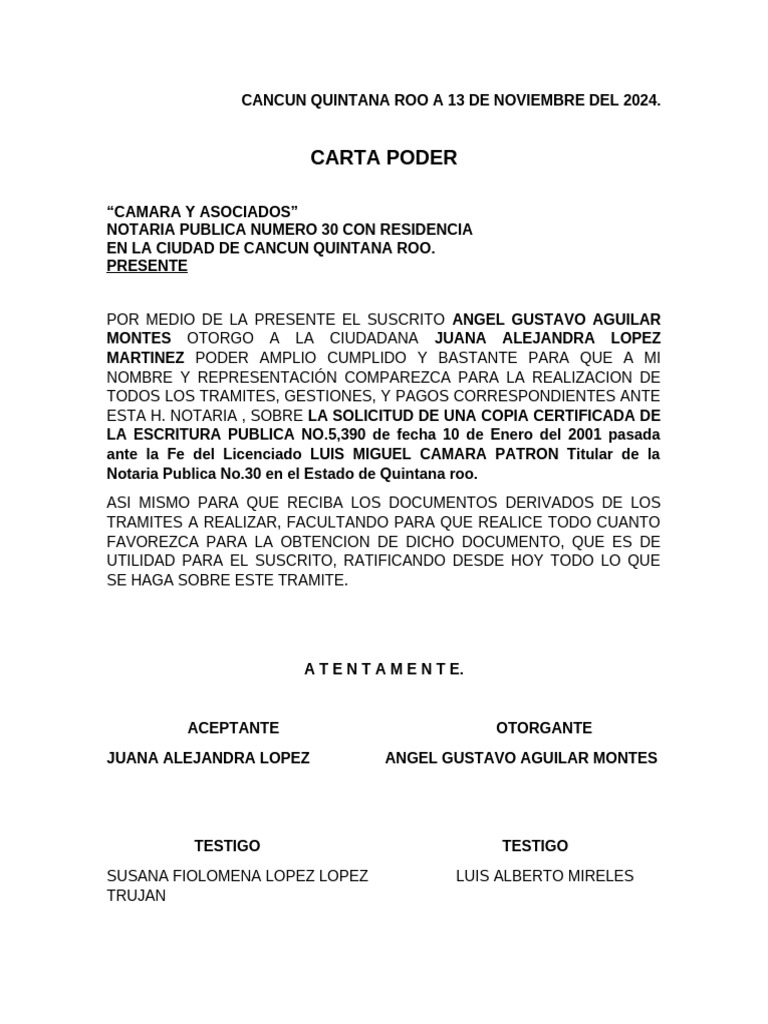 Carta Poder 3 | PDF