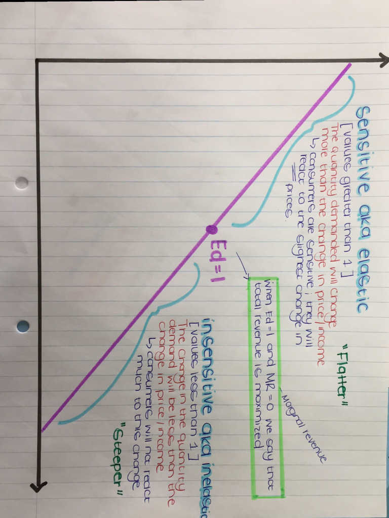 Guide On Elasticity Questions | PDF
