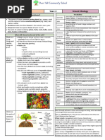 Plant Structure and Functions Guide | PDF | Plants | Leaf