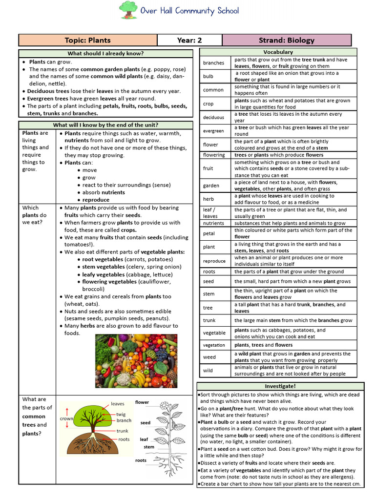 Understanding Plant Growth and Types | PDF | Plants | Vegetables